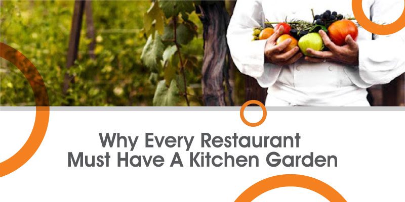 Why Every Restaurant Must Have A Kitchen Garden - Kamaxi College of ...